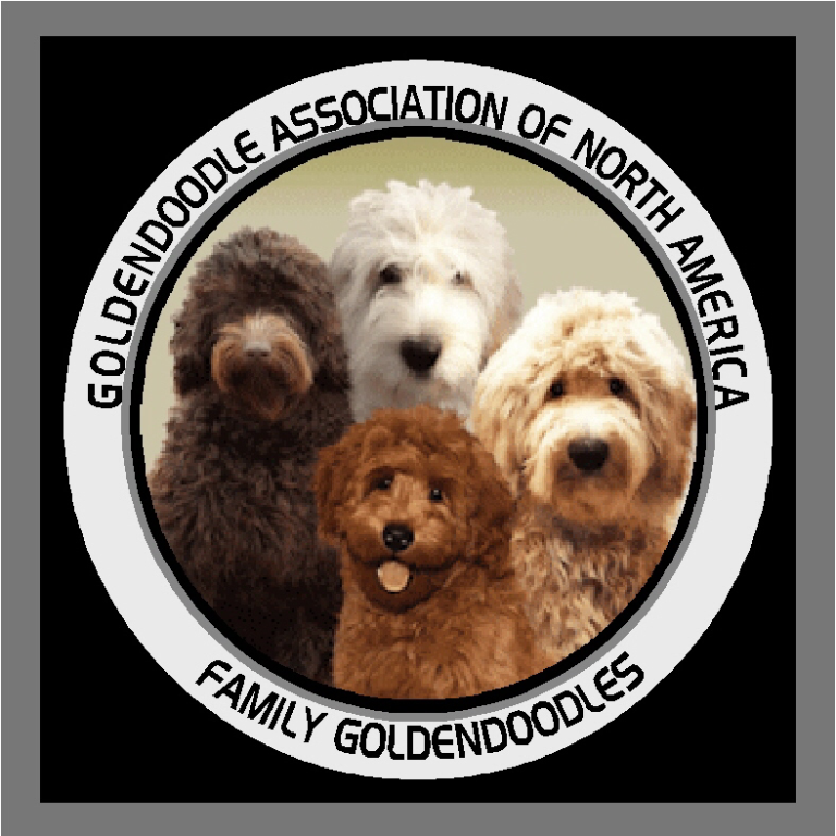 Family Labradoodles and Goldendoodles - Home